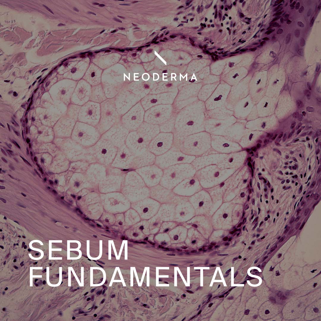 Sebum-Control Fundamentals | NEODERMA