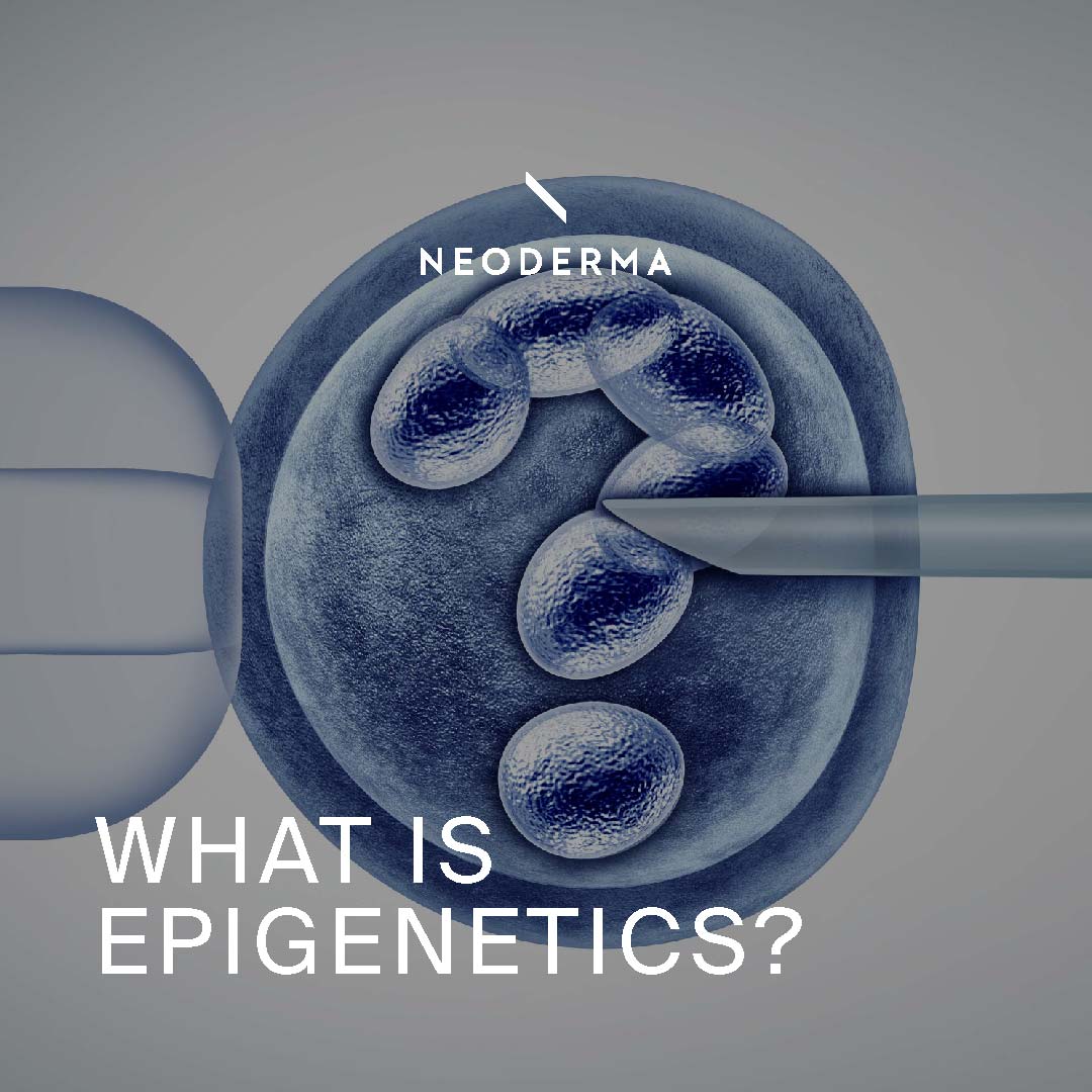 What is Epigenetics? – NEODERMA